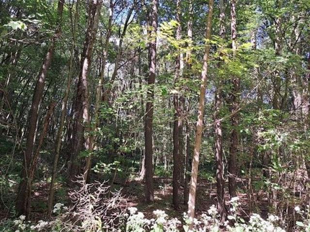 Chicora Rd, Chicora, PA 16025