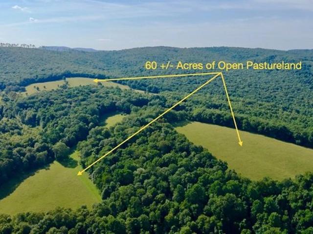 Chidester Rd, Terra Alta, WV 26764