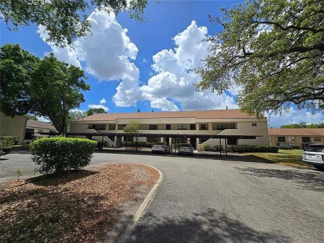 Chill No Drama Roommate Wanted – Temple Terrace