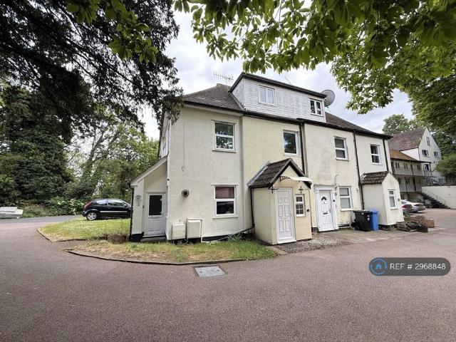Chilton Court, Ipswich, IP2 4 bed semi detached house to rent £1,365 pcm £315 pw