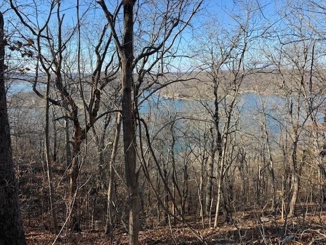 Chimney Rock Rd, Camdenton, MO 65020