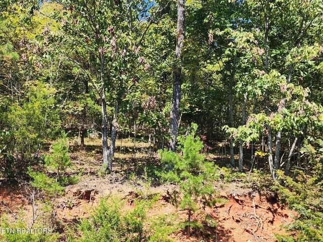 Chimney Rock Rd Lot 609, New Tazewell, TN 37825