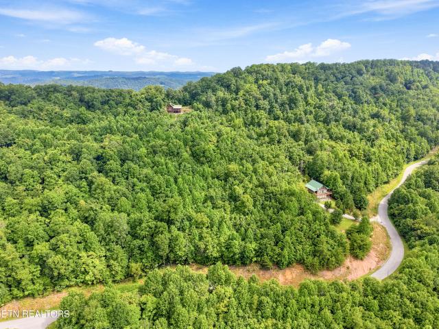 Chimney Rock Rd, New Tazewell, TN 37825