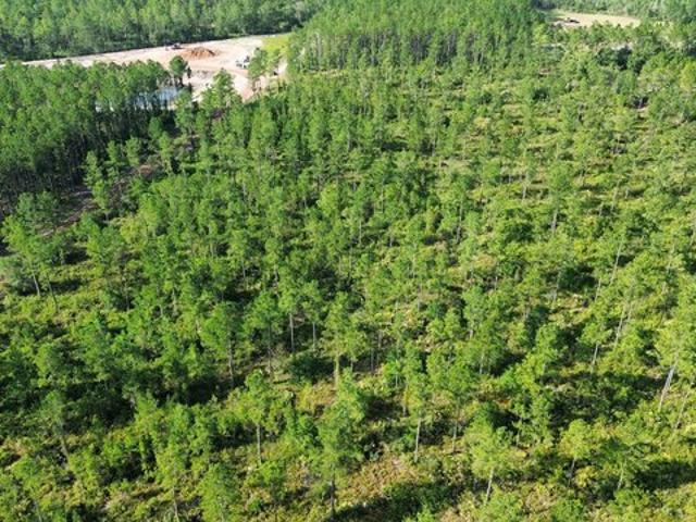 Chimney Rock Rd, White Oak, GA 31568