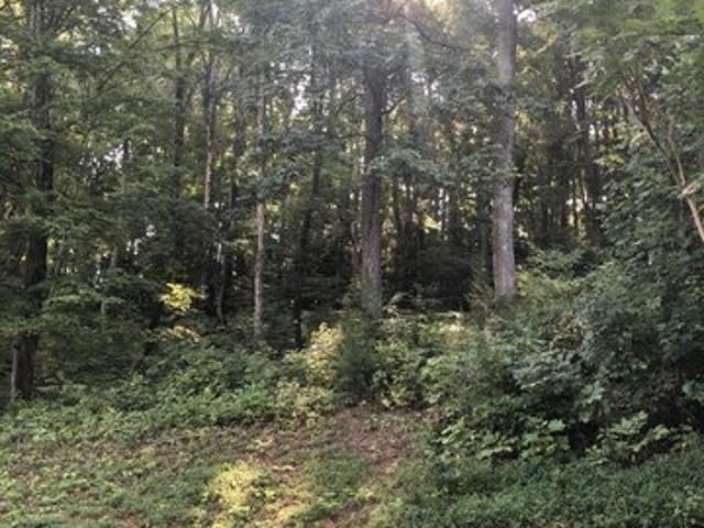 Chimney Top Ln Lot 43, Chuckey, TN 37641