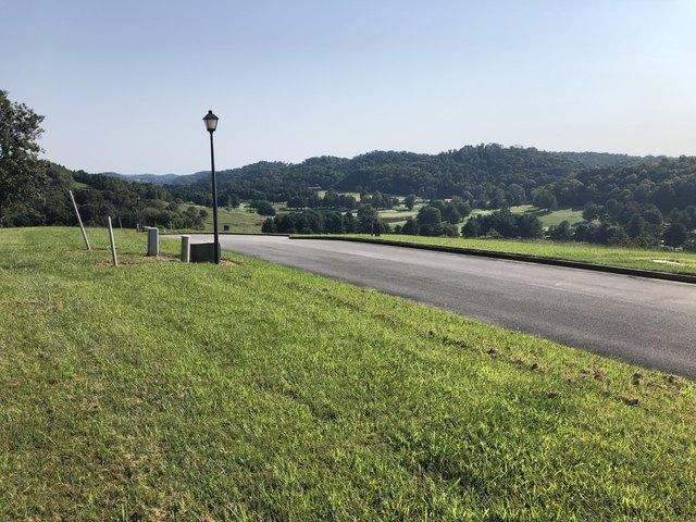 Chimney Top Ln Lot 48, Chuckey, TN 37641