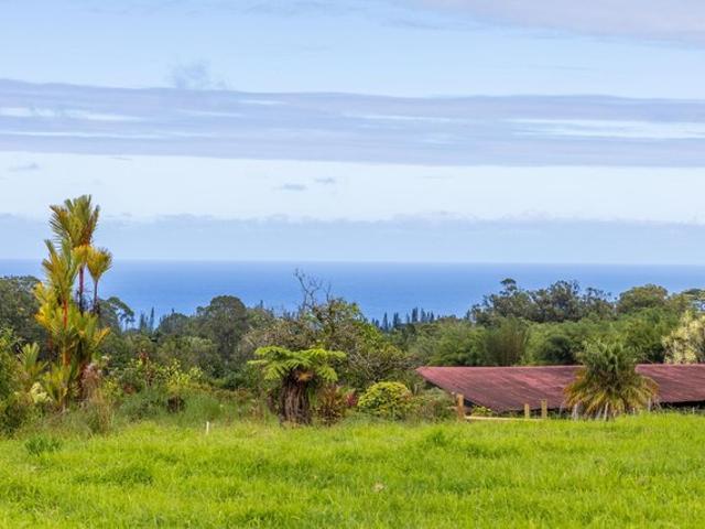 Chin Chuck Rd, Hakalau, HI 96710