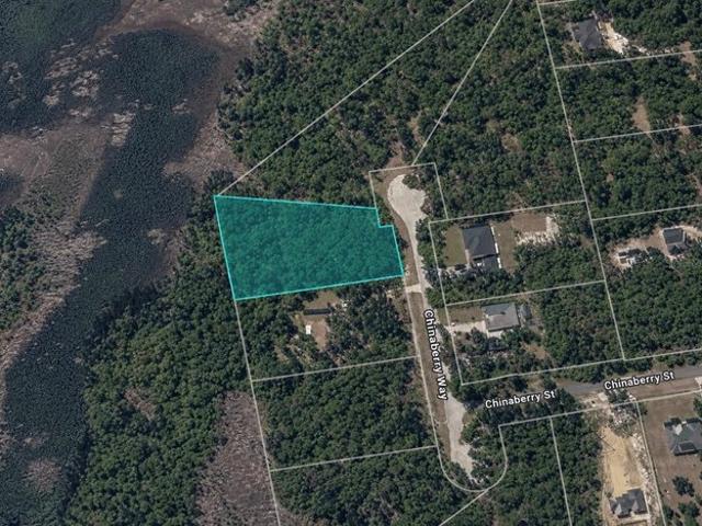 Chinaberry Way, Eustis, FL 32736