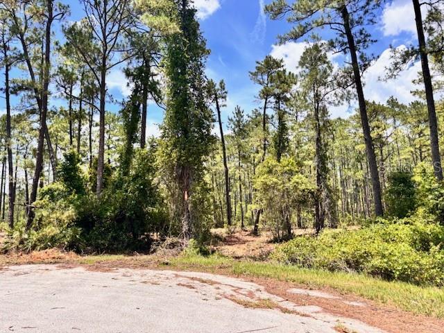 Chinaberry Way, Eustis, FL 32736 | MLS #O6350 | Compass