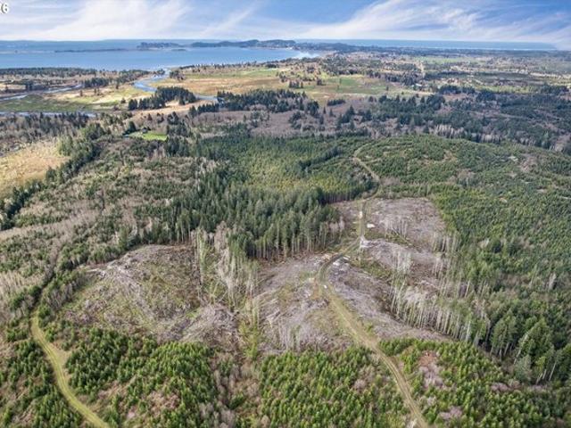 Chinook Valley Rd, Chinook, WA 98614