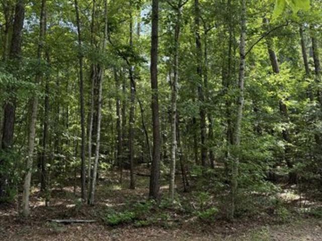 Chinquapin Pass Lot 81, Dadeville, AL 36853