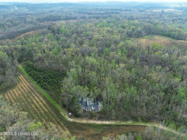 Chinqupin Rd, Lexington, MS 39095