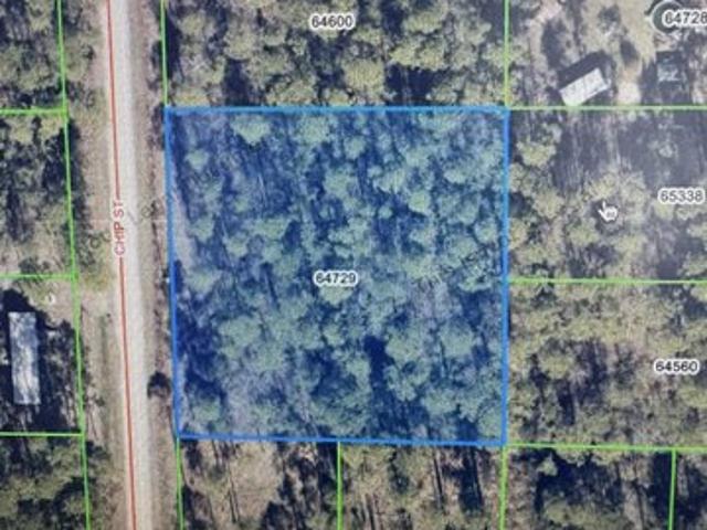 Chip St Lots 10 & 11, Abita Springs, LA 70420