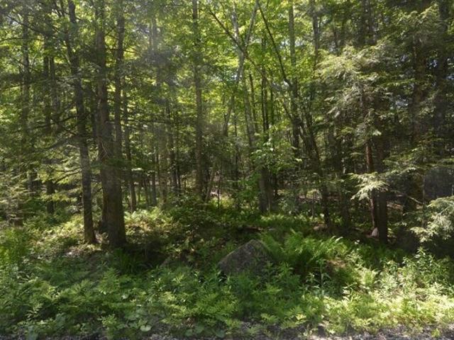 Chippewa Dr Lot,becket, Plot For Sale