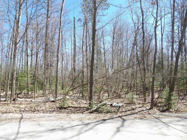 Chippewa Dr Lots 61 & 62, Glennie, MI 48737