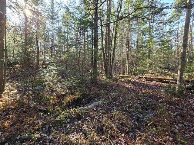 Chipper Ln Lot,milan, Plot For Sale