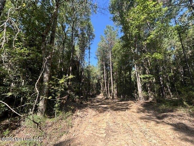 Chisholm Dr, Summit, MS 39666