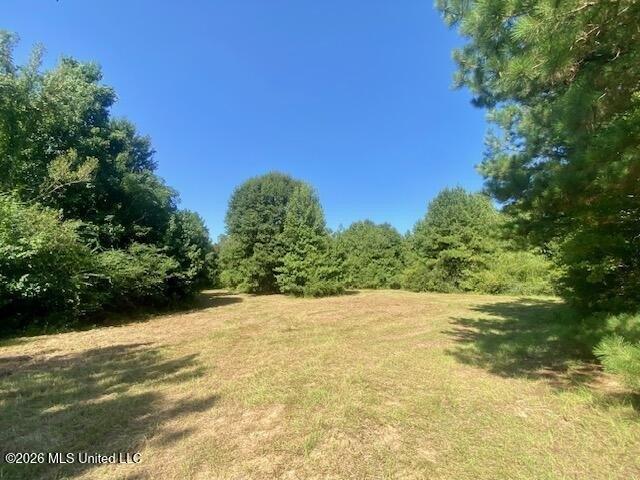 Chisholm Dr, Summit, MS 39666