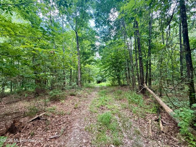 Chisholm Drive, Bogue Chitto, MS 39629