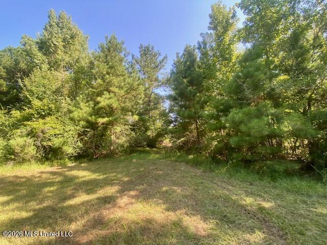 Chisholm Drive, Summit, MS 39666
