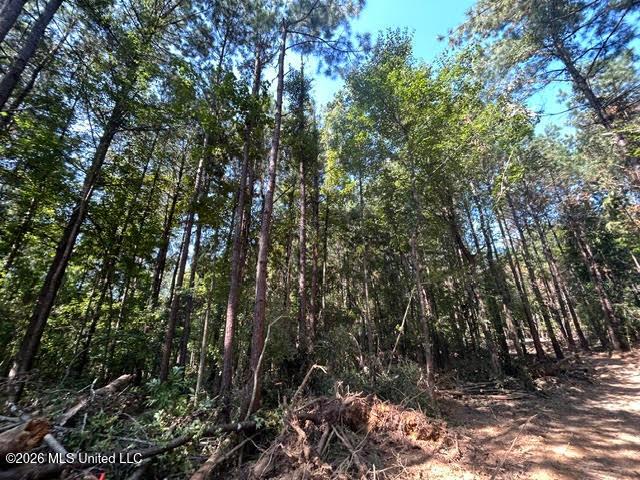 Chisholm Drive, Summit, MS 39666