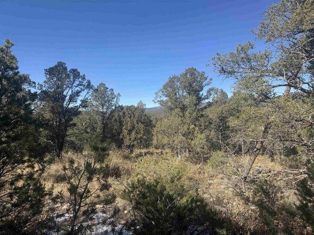 Chloride Ln, Timberon, NM 88350