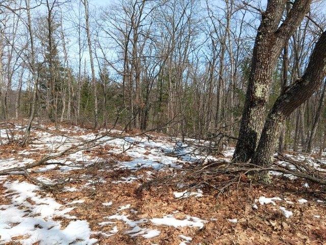 Christy Ct, Spruce, MI 48762