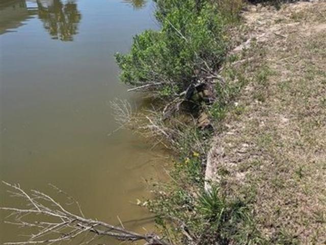 Christy Dr, Hackberry, LA 70645