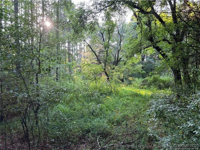 Christian Chapel Church Rd, New Hill, NC 27562 | MLS #755104