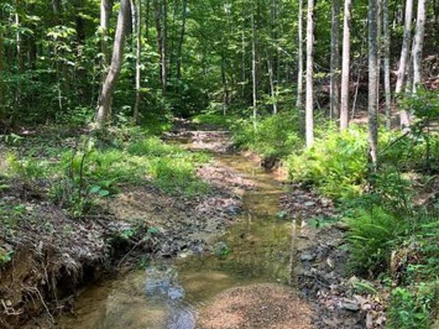 Christian Mill Creek Rd, Amherst, VA 24521