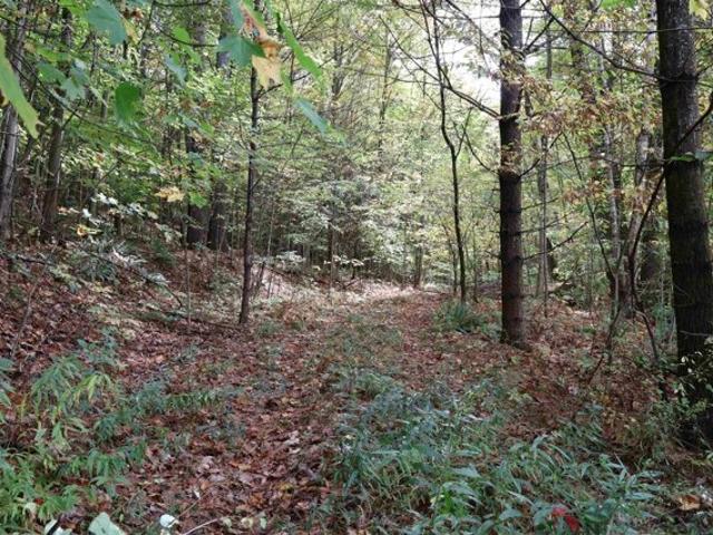 Christian St, Hartford, Plot For Sale