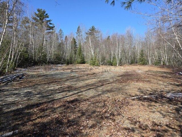 Christian Ridge Rd Lot, Ellsworth, Plot For Sale