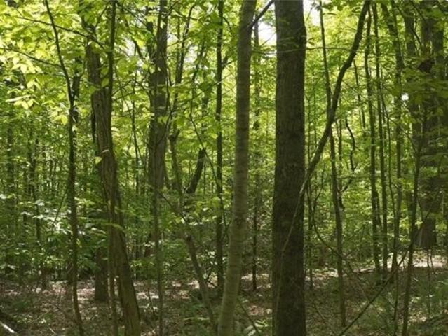 Christina Way, Burrillville, Plot For Sale