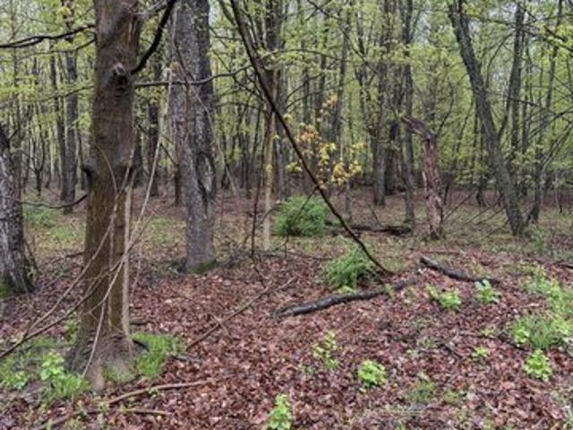Christopher Ln Lot 2, South Haven, MI 49090
