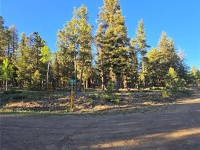 Chubb Ct, Buena Vista, CO 81211