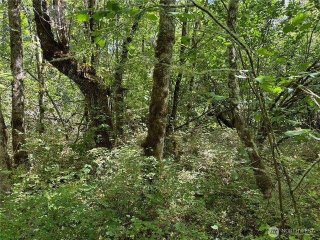 Chuckawa Ln SE, Yelm, WA 98597