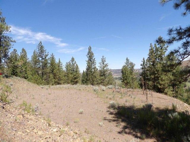 Chukar Short Plat Ln Lot 2, Davenport, WA 99122