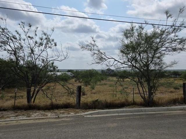 Chula Vista Rd Lot 69, Eagle Pass, TX 78852