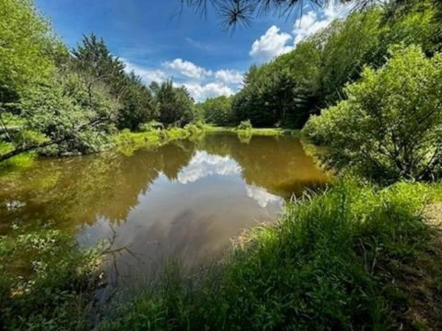 Churchview Ln Lot,fries, Plot For Sale