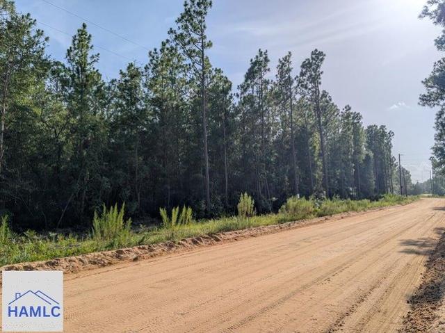 Church Cir, Jesup, GA 31545