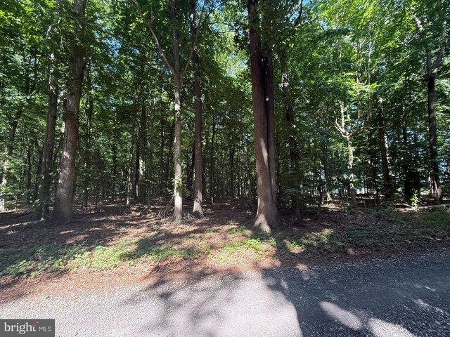 Church Ln, Cordova, MD 21625