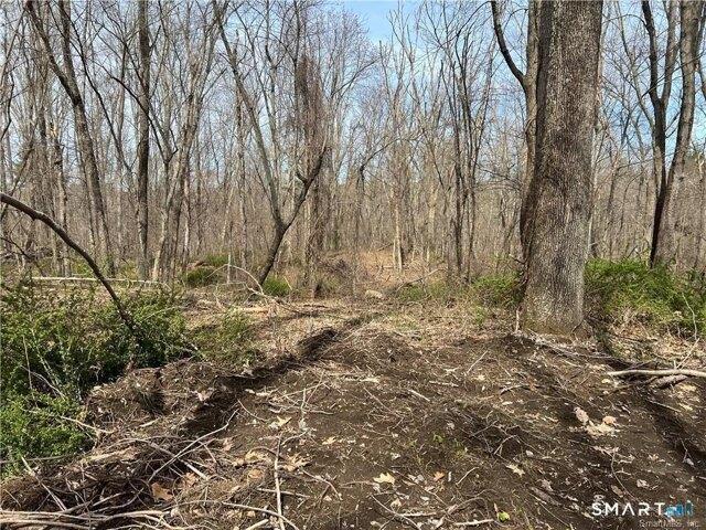Church St, Brooklyn, Plot For Sale