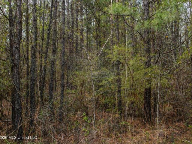 Church Street, Summit, MS 39666