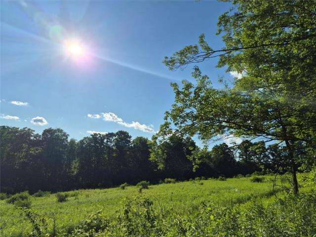 Cincinnatus NY 13040 103424698