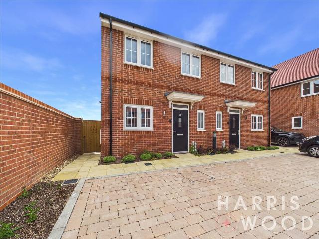 Cinderpath Way, Great Bentley, Colchester, Essex CO7, 3 bed semi detached house to rent, £1,800 pcm | PrimeLocation