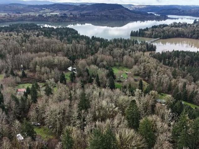 Ciannigan Hl, Mossyrock, WA 98564