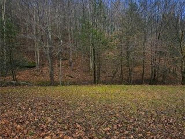 Cicerone Rd, Gandeeville, Plot For Sale