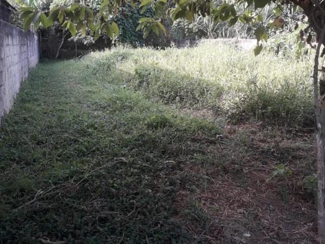 Cidade Matias Barbosa: Ótimo terreno totalmente plano 300 m² em rua plana