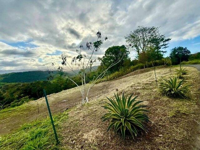 Cidra Campo Bello Lot,cidra, Plot For Sale