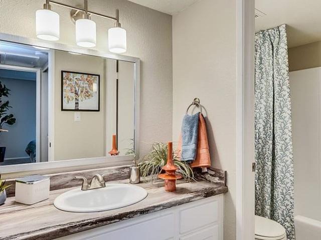 Cielo Apartments Studio Apartment for Rent at 8222 N 19th Ave, Phoenix, AZ 85021 La Mancha